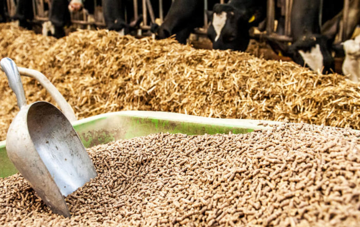 SABO - Chemical Values - Prodotti chimici speciali