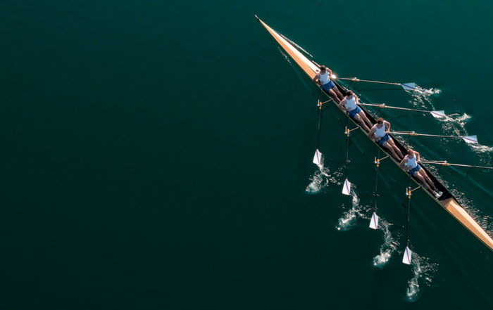 Sabo - Chemical Values